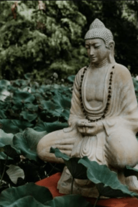 Vài Nét Về Tâm Lý Học Phổ Thông Và Tâm Lý Học Phật Giáo - Web Tải Sách ...